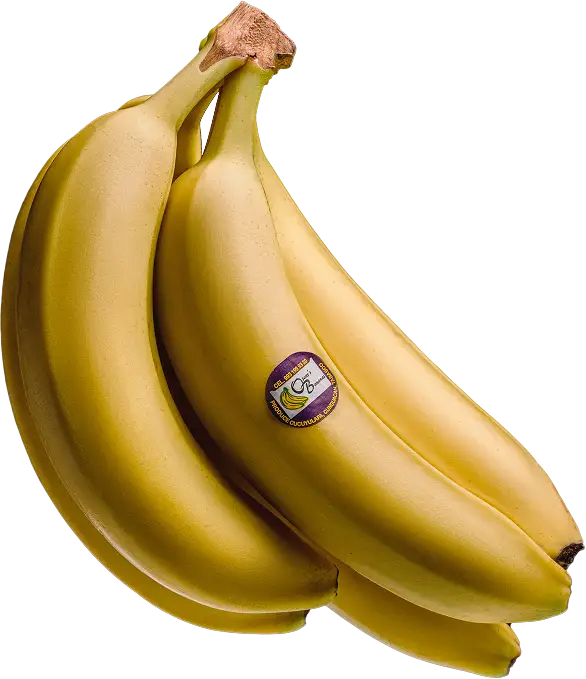 Inicio - Oscar's Bananas